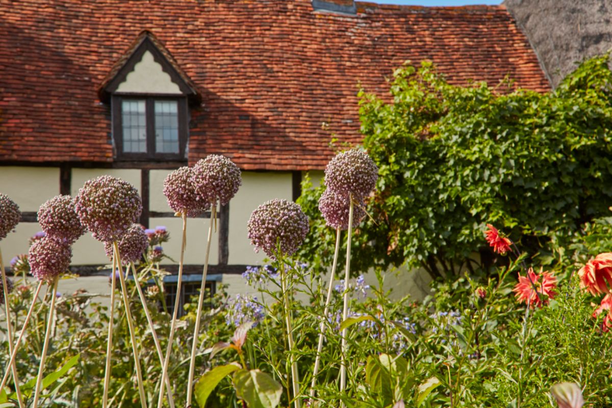 Crest Nicholson at Nobel Park | Crest Nicholson