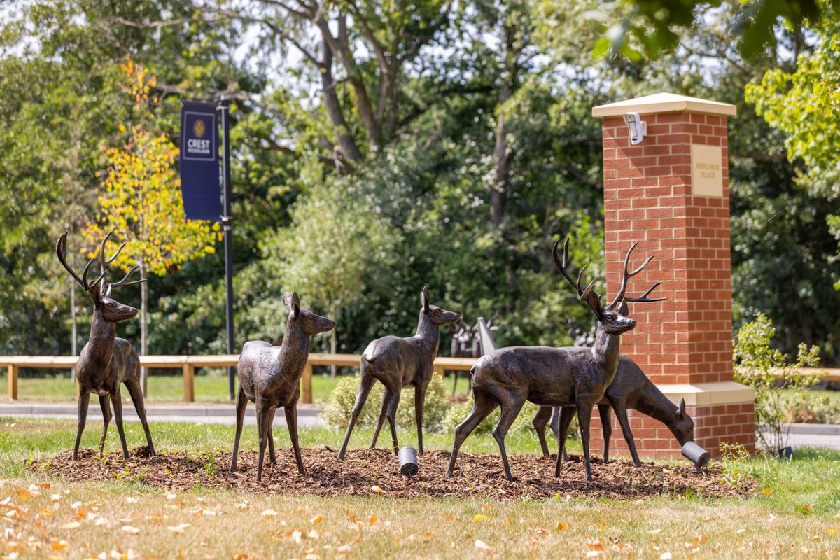 IT’S HERE. THE GREAT CRESTMAS GIFT REVEAL. | Crest Nicholson