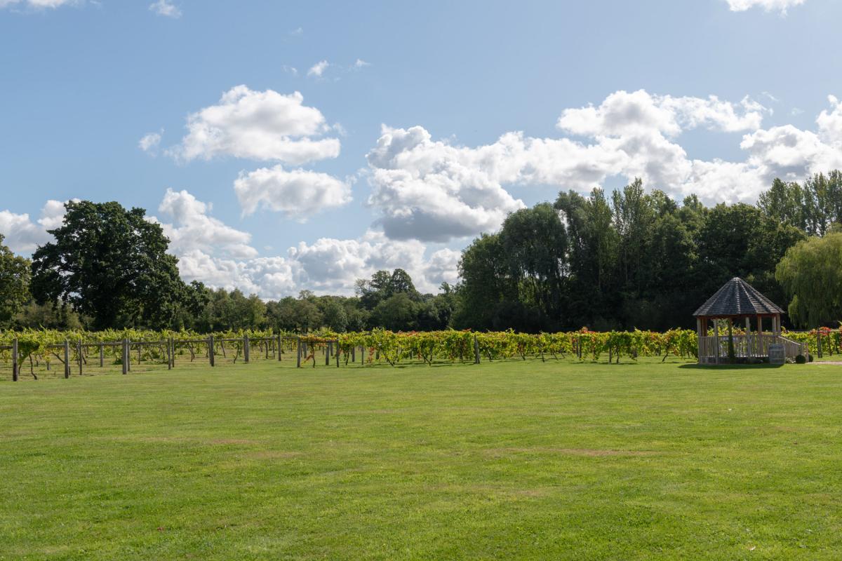 Curbridge Meadows | New homes in Whiteley | Crest Nicholson